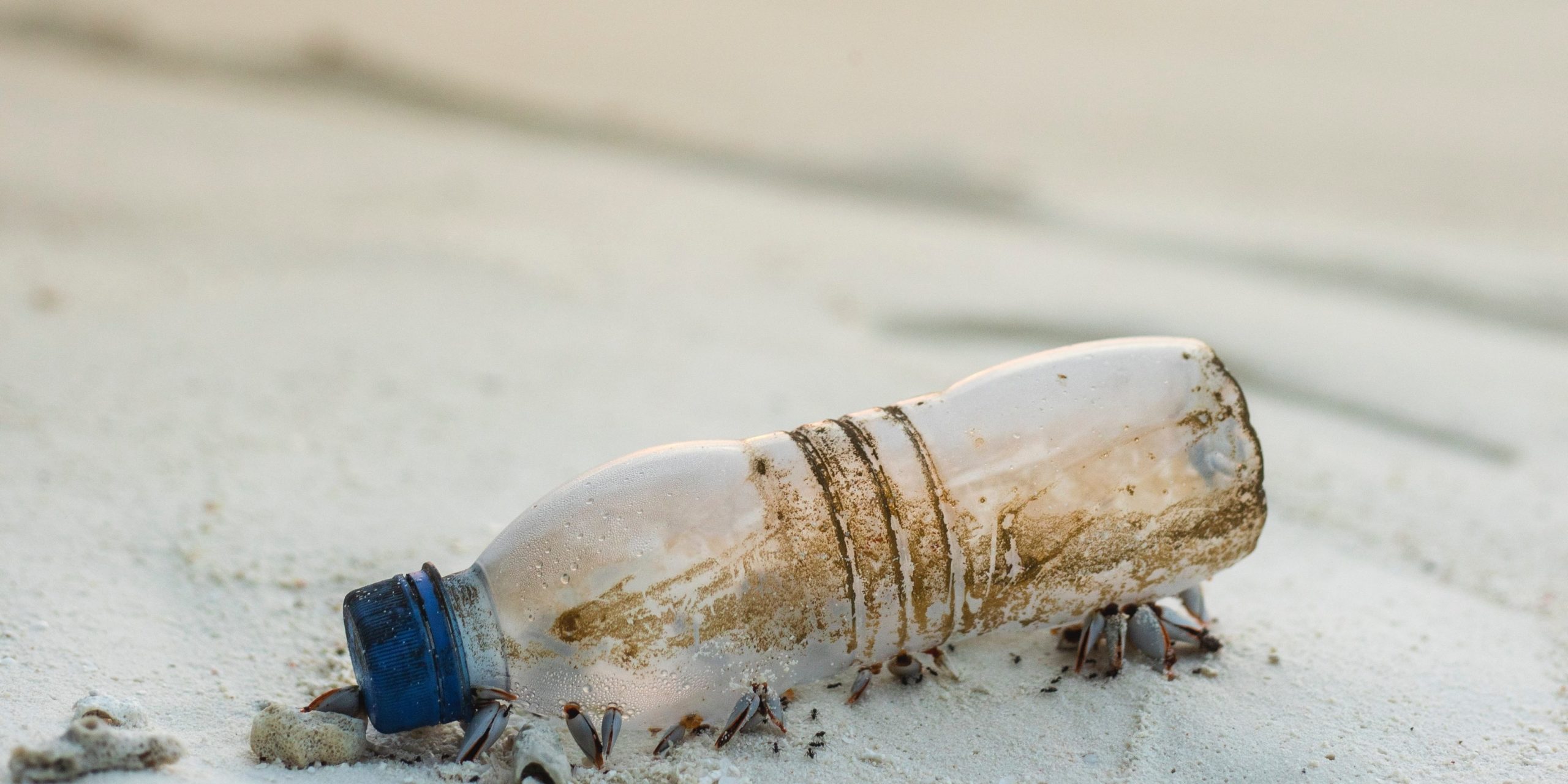 Jsou bioplasty opravdu BIO? Aneb není plast jako plast - Dva zelenáči